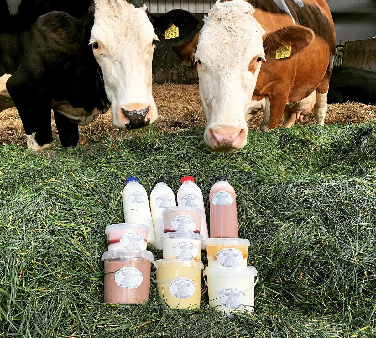 Kefir - Landwinkel Ol Diek