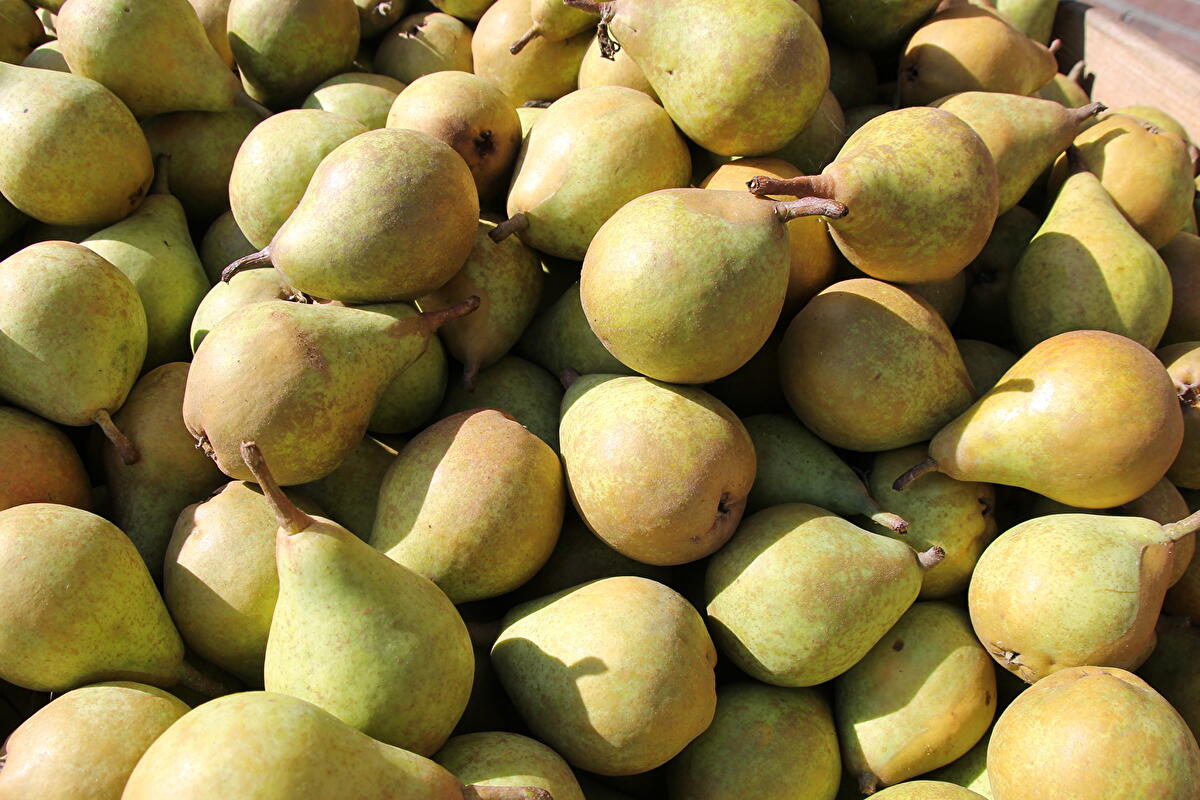 Gieser Wildeman - Landwinkel Ol Diek